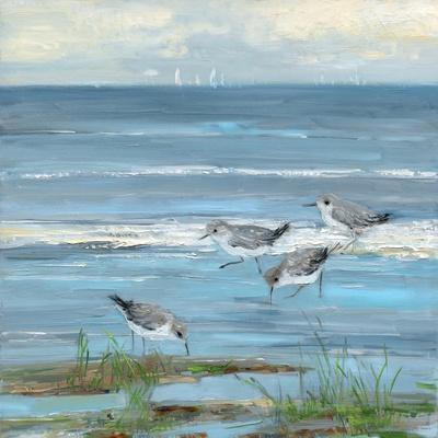 'Dunlin Beach I' Art Print - Sally Swatland | Art.com