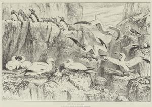 Samuel John Carter Art: Prints, Paintings, Posters & Wall Art | Art.com