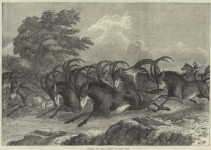 Samuel John Carter Art: Prints, Paintings, Posters & Wall Art | Art.com