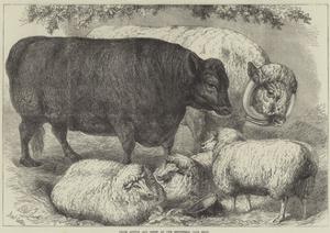 Samuel John Carter Art: Prints, Paintings, Posters & Framed Wall ...