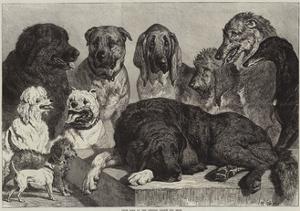 Samuel John Carter Art: Prints, Paintings, Posters & Wall Art | Art.com