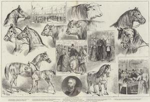 Samuel John Carter Art: Prints, Paintings, Posters & Framed Wall ...