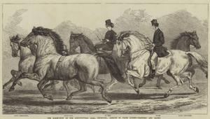 Samuel John Carter Art: Prints, Paintings, Posters & Framed Wall ...