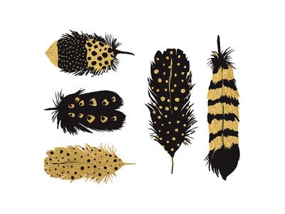 Feather Collection II - Luxe Giclee Print - Sandra Jacobs | Art.com