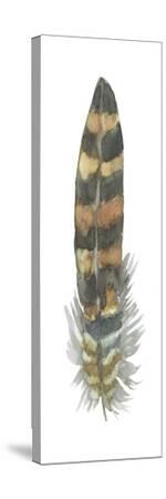 'Feather Plume V' Stretched Canvas Print - Sandra Jacobs | Art.com