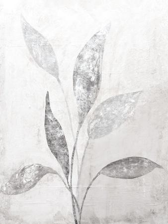 'Ethereal Leaves II' Art Print - Sarah Adams | Art.com
