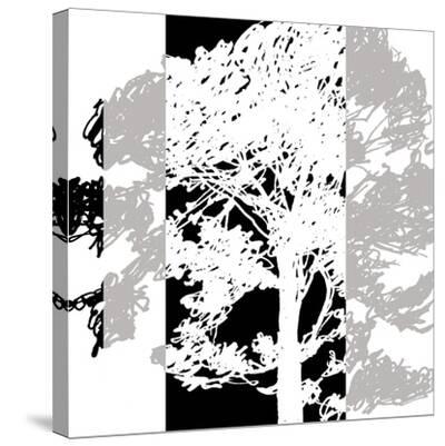 'Sycamore Stripe' Stretched Canvas Print - Sarah Cheyne | Art.com