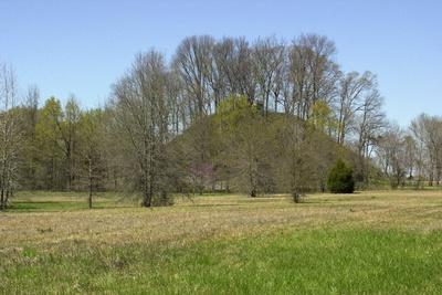 'Sault's Mound, 72 Feet High, One of the Pinson Mounds, the Largest ...