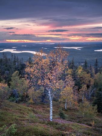Scenic and colorful landscape view with fall colors at calm autumn ...