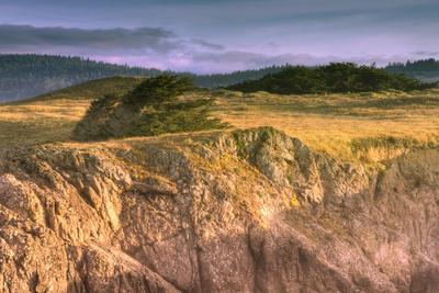 'Sea Ranch Landscape' Photographic Print - Vincent James | Art.com