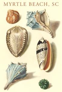 South Carolina Art for Sale: Prints, Paintings, Posters & Framed Wall ...