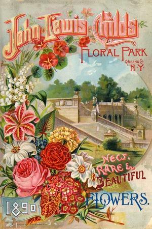 Victorian Flower Prints