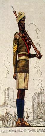 'Sergeant of the Somaliland Camel Corps, King's African Rifles, 1938 ...