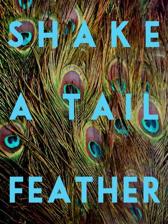 'Shake a Tail Feather' Art Print - Keren Su | Art.com