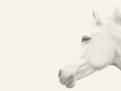 'A Gusto' Giclee Print - Shana Rae | Art.com