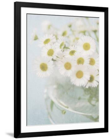 Candy Flowers I Framed Giclee Print - Shana Rae | Art.com