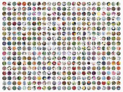 'A Spot of Nature' Giclee Print - Sharon Elphick | Art.com