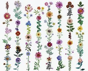 Sharon Elphick Art: Prints, Paintings, Posters & Wall Art | Art.com