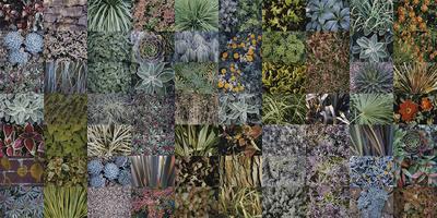 'Springtime in Autumn' Giclee Print - Sharon Elphick | Art.com