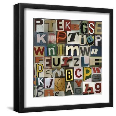'Type II' Framed Giclee Print - Sharon Elphick | Art.com