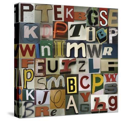 'Type II' Stretched Canvas Print - Sharon Elphick | Art.com