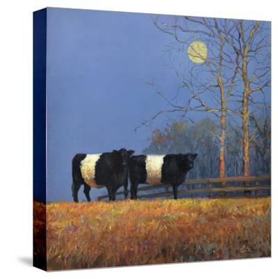 Moon Walk Stretched Canvas Print - Shawn Faust | Art.com