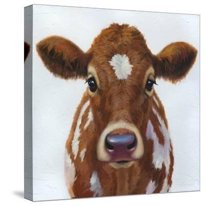 Rocky Road Stretched Canvas Print - Shawn Faust | Art.com