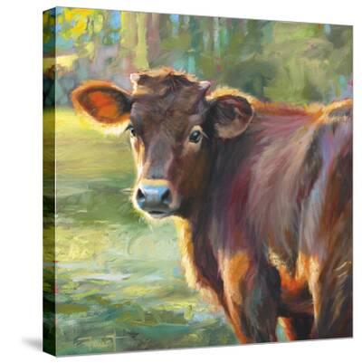 The Look Back Stretched Canvas Print - Shawn Faust | Art.com