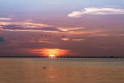 'Sun rising behind the Skyway Bridge with stunning purple sky and ...
