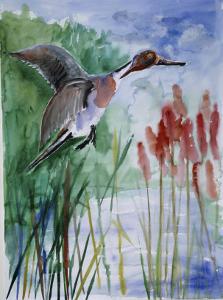 Sir Roy Calne Art: Prints, Paintings, Posters & Wall Art | Art.com