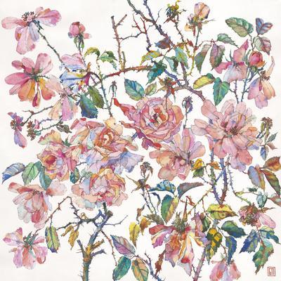 'Climbing Roses' Giclee Print - Sofia Perina-Miller | Art.com