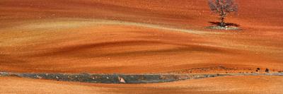 'Spanish Curves Spain' Photographic Print - Philippe Manguin | Art.com