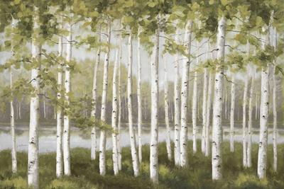 'Spring Birch Tree Grove' Art Print - Jill Schultz McGannon | Art.com