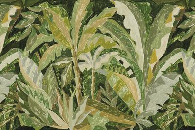 'Fern Field' Giclee Print - Stefan Jans | Art.com