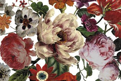 'Wild Posey - Rush' Giclee Print - Stefan Jans | Art.com