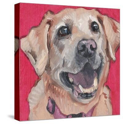'Smiley Lab' Stretched Canvas Print - Stephanie Jeanne | Art.com