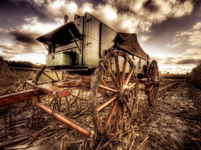 'Harvest' Photographic Print - Stephen Arens | Art.com