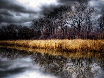 'Spring Storm' Photographic Print - Stephen Arens | Art.com