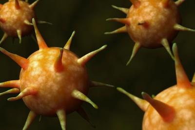 'Conceptual biomedical illustration of infectious mononucleosis.' Art ...