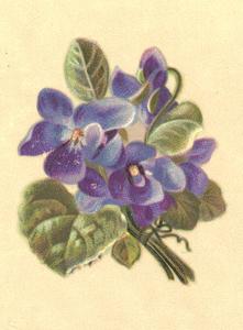 Beautiful Violets artwork for sale, Posters and Prints | Art.com