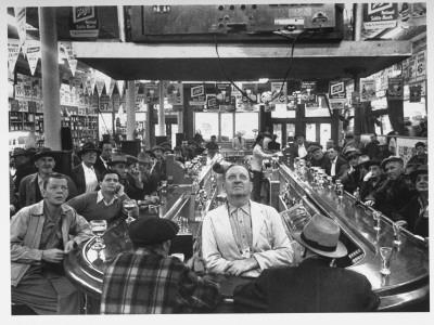 Rapt audience - wooddase