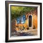 'Summer Shadow' Giclee Print - Michael J. Sanders | Art.com