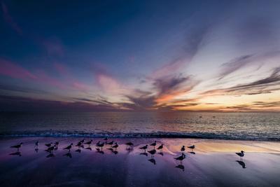 'Sunset on Anna Marie Island on Florida's Gulf Coast Florida, USA ...