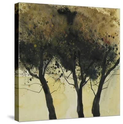'Seasonal Trees III' Stretched Canvas Print - Susan Brown | Art.com