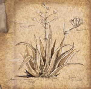 Susan Gillette Art: Prints, Paintings, Posters & Wall Art | Art.com