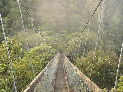 'Swingbridge, Motu Falls, Motu, Gisborne, North Island, New Zealand ...