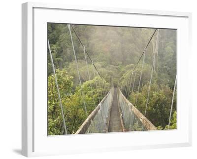 'Swingbridge, Motu Falls, Motu, Gisborne, North Island, New Zealand ...