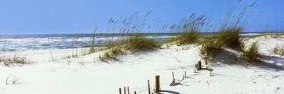'Tall Grass on the Beach, Perdido Key Area, Gulf Islands National ...