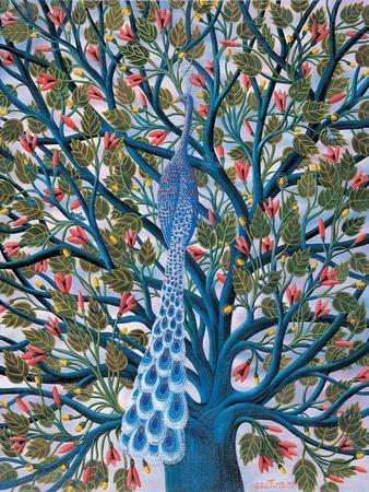 'Peacock in Tree' Giclee Print - Tamas Galambos | Art.com