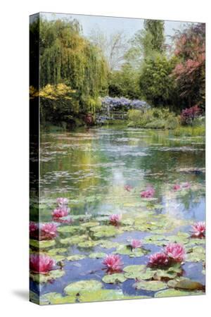 'Lotus Lake' Stretched Canvas Print - Tania Bello | Art.com